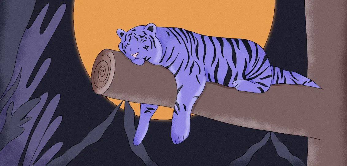 Tiger Dream Meanings | DreamApp